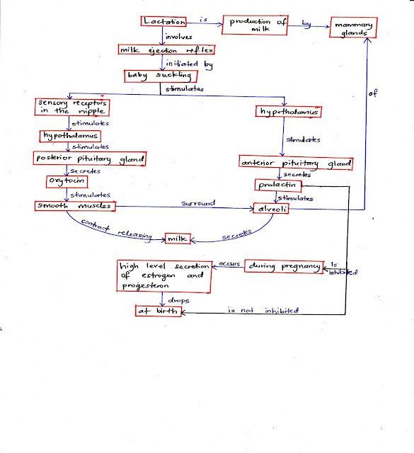 BIOLOGY is to serve mankind...: Concept map: REPRODUCTION