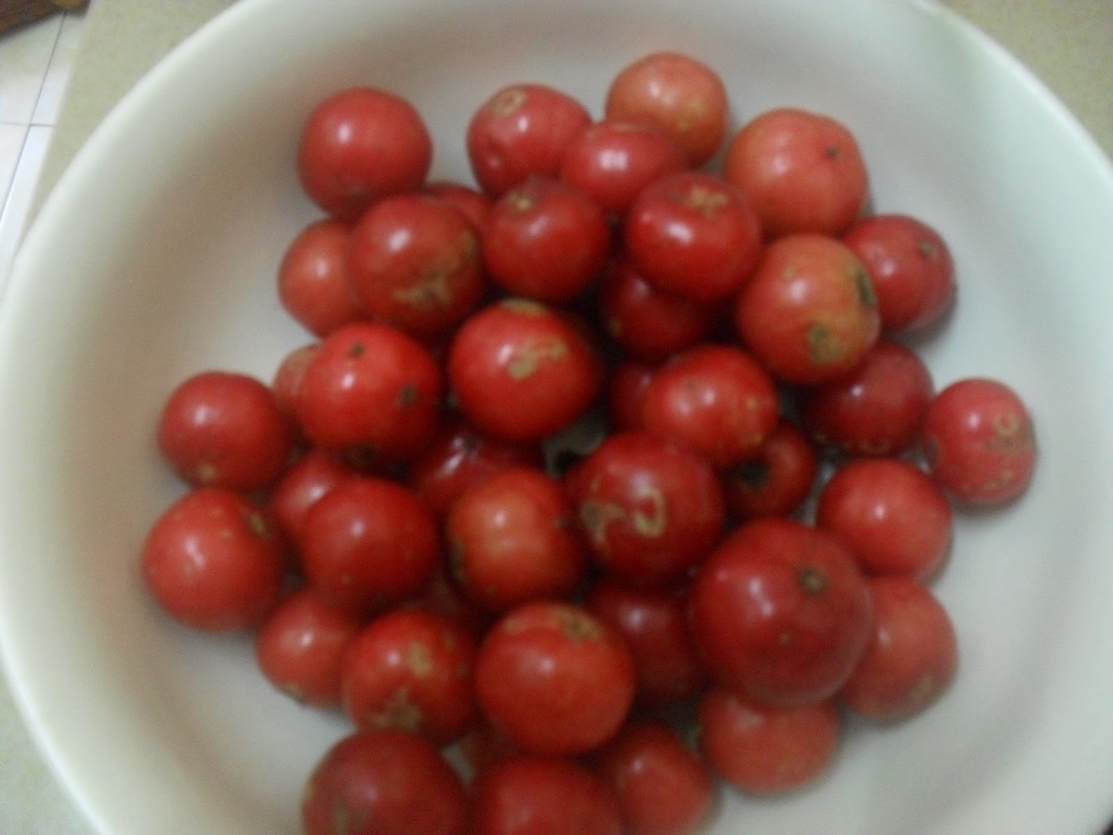 ~Hanya Di Alam Maya aku Bercerita~: Pincuk Buah rokam