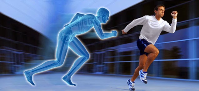 Fisiologia Humana : Sistema motor