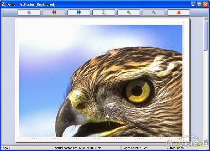 download Ronya Soft torrent - softbest-ozsoft