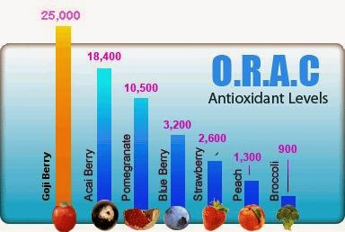 Emagrecendo com Saúde (pelas plantas): Escala de Anti-Oxidantes Orac e ...