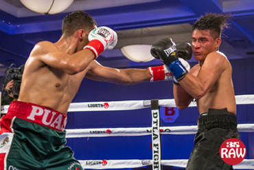 Bash Boxing: BASH BOXING’S VALLEY FIGHT NIGHT DELIVERS AGAIN