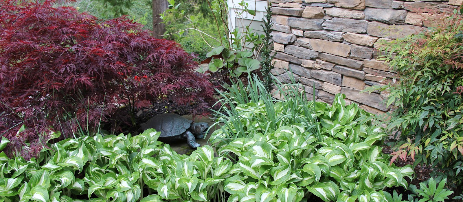 Debbie Angel's Garden: Color and texture in the garden