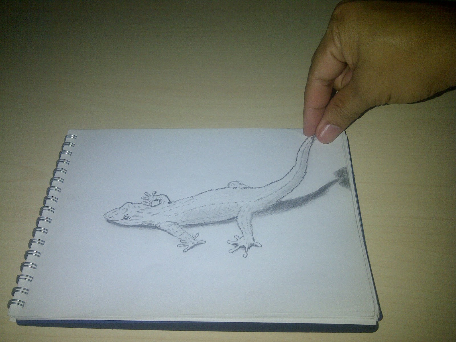 Tinkering with Creative and Innovative: First 3D Pencil Drawings