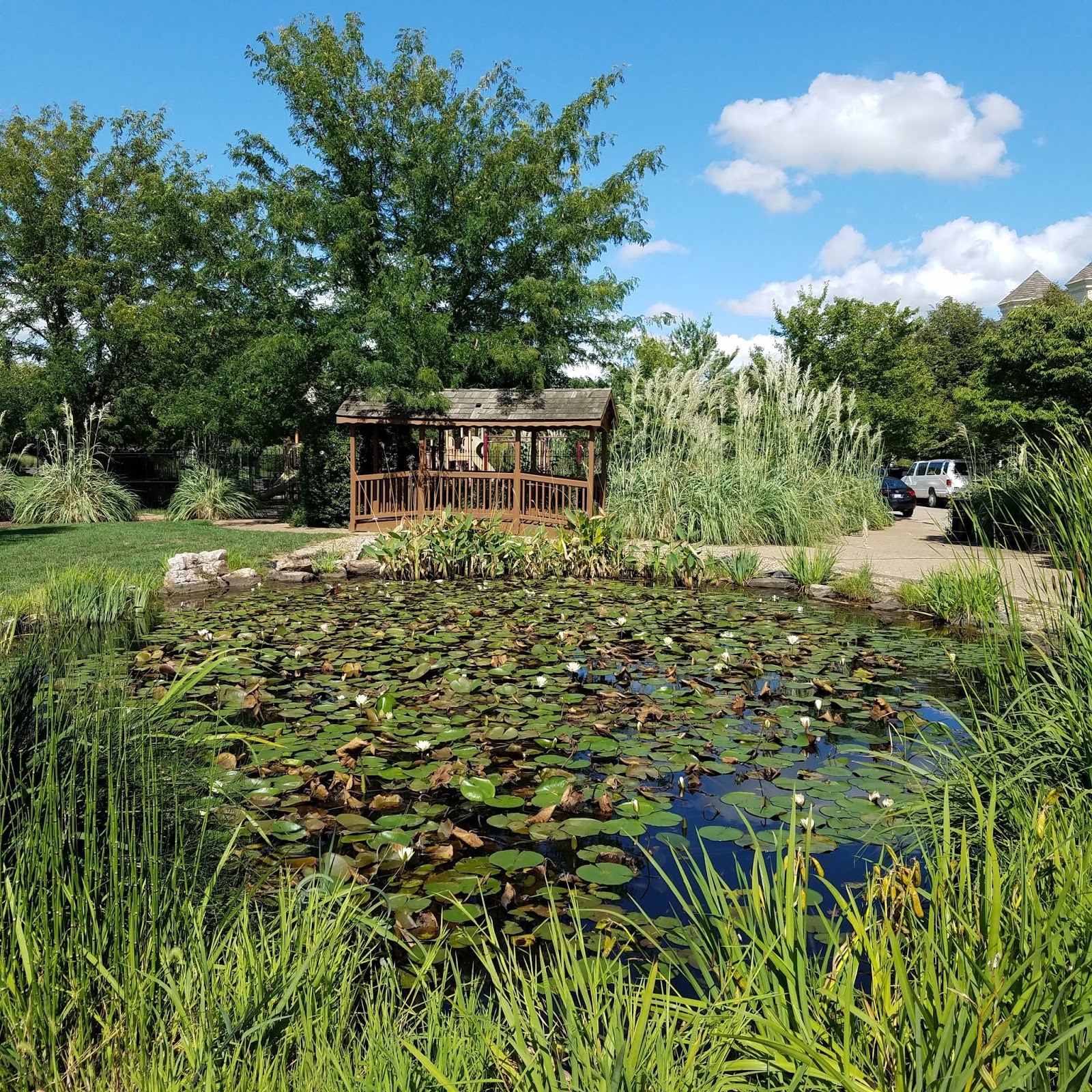 Play St. Louis: New Town Park, St. Charles