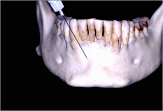 Dental Hub: Dentistry