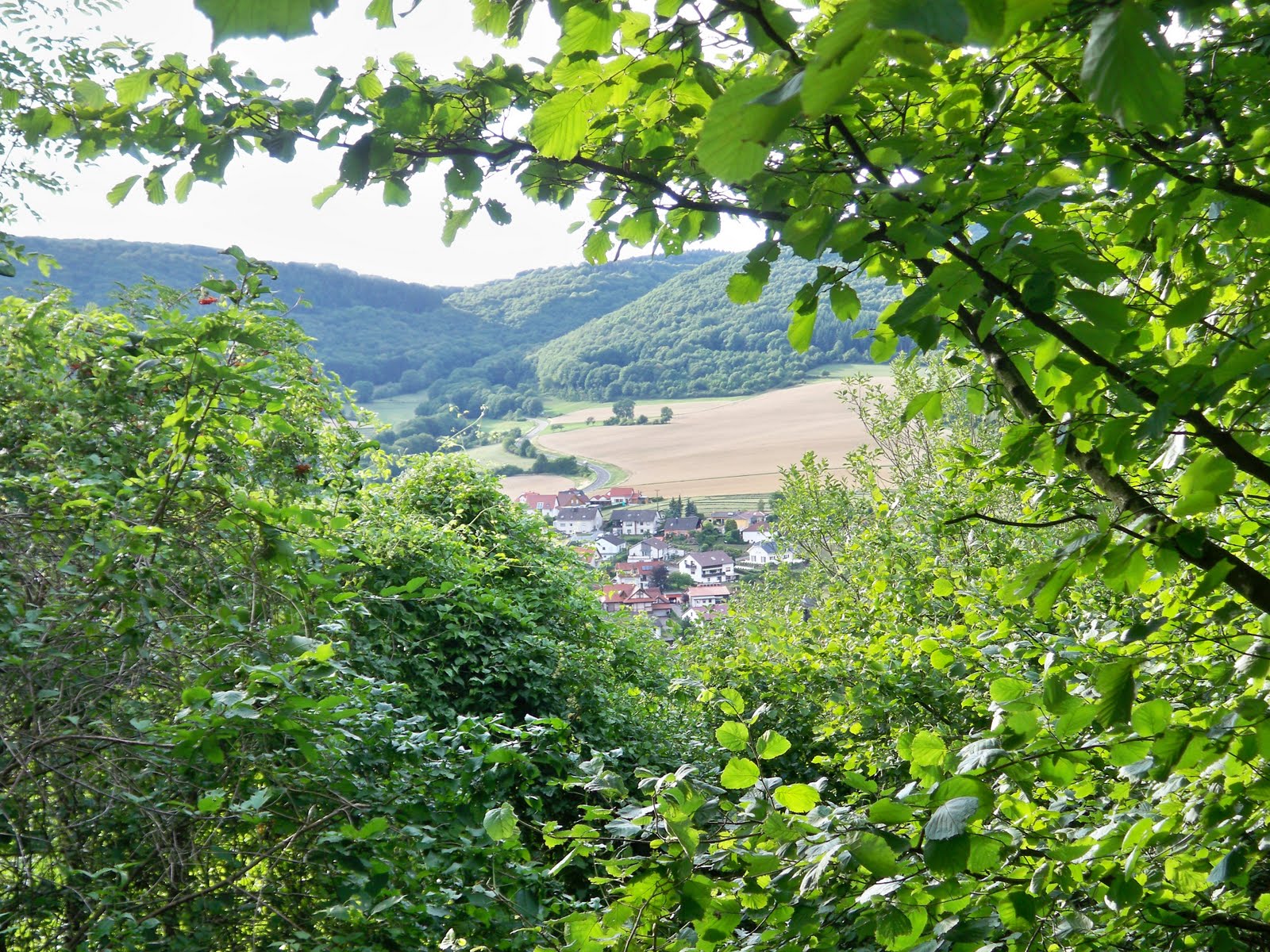 Goofy in Germany: Our Vist to Kusel GE Burg Lightenberg Castle 9 Jul 2011