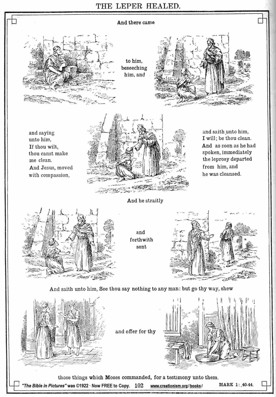 LiturgyTools.net: Pictures for the 6th Sunday in Ordinary Time, Year B