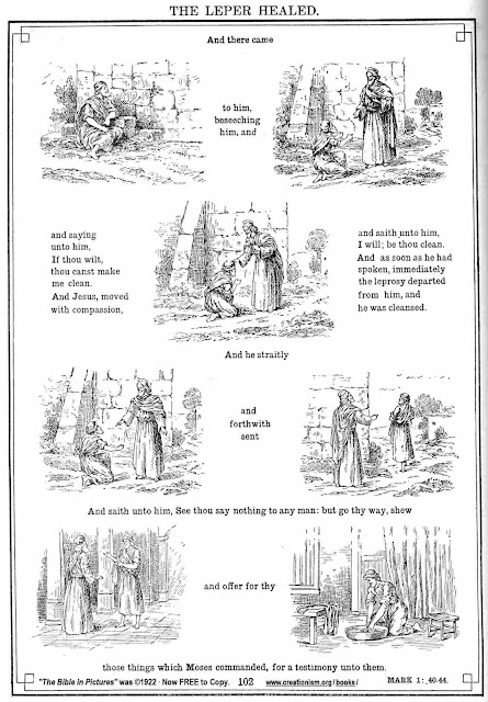 LiturgyTools.net: Pictures for the 6th Sunday in Ordinary Time, Year B