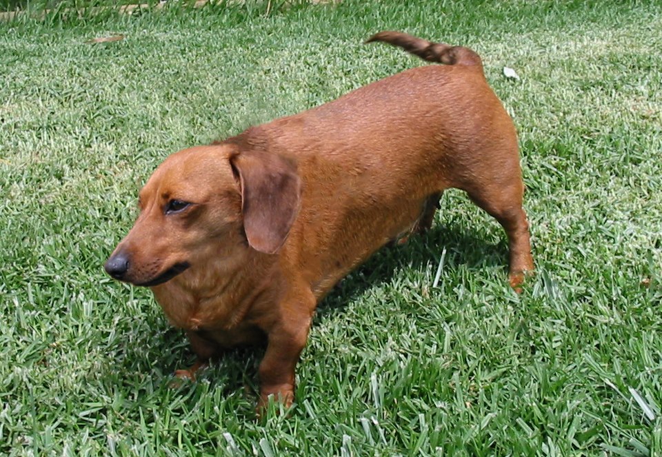 Wild Animals And Birds: October 2012