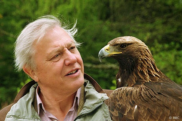 COMENTANDO O COMENTADO: Wonderful World com David Attenborough (imperdível)