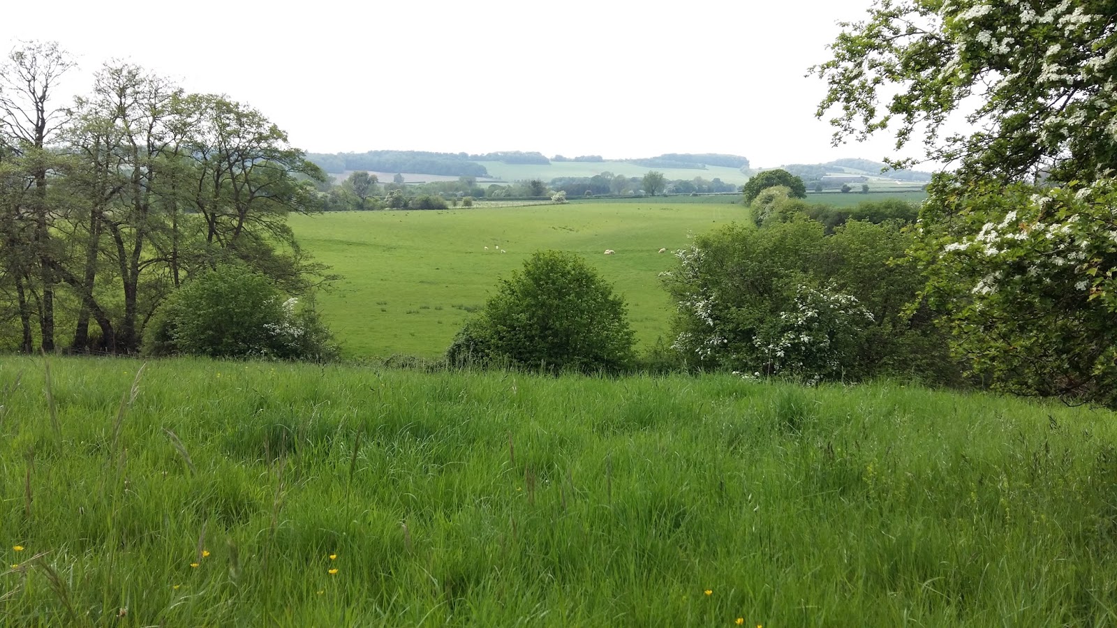 Cotswolds Travel: Shipton Oliffe & Withington Circular
