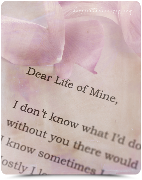 Love Letter to My Life