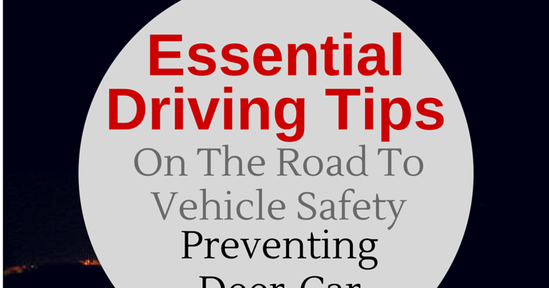 Essential Driving Tips on the Road to Vehicle Safety Preventing Deer ...
