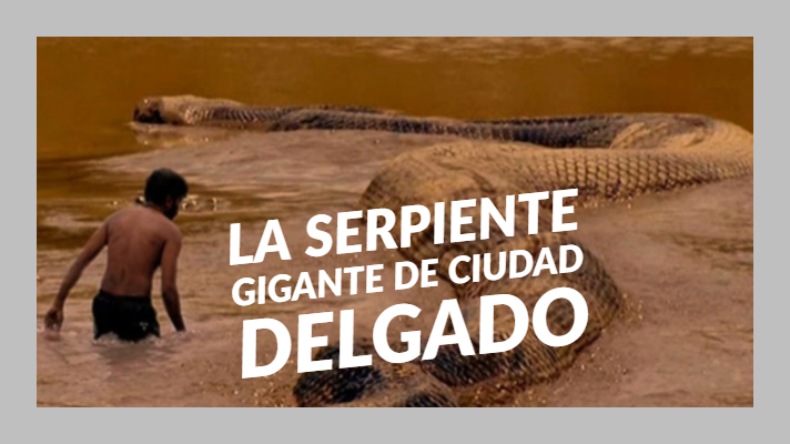 La Serpiente Gigante de Ciudad Delgado - Delgado City