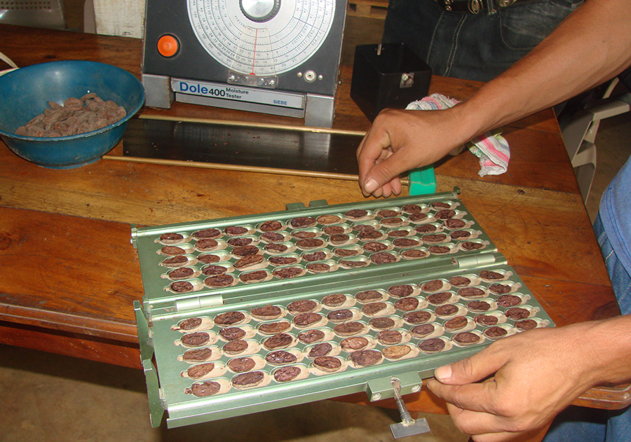NORMAS PARA LA CLASIFICACIÓN POR CALIDAD DEL CACAO - Poscosecha Cacao