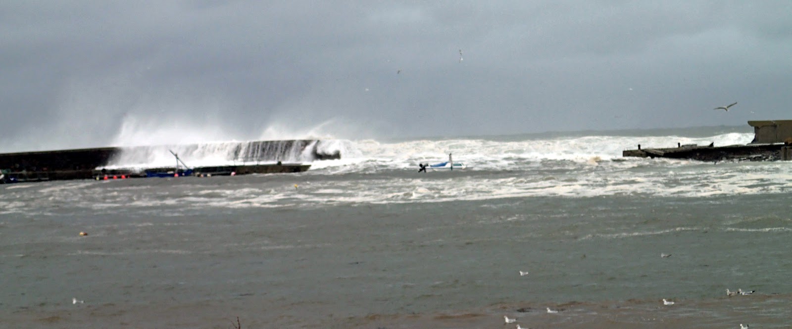 walking the rainbow trail: Sandhaven Harbour