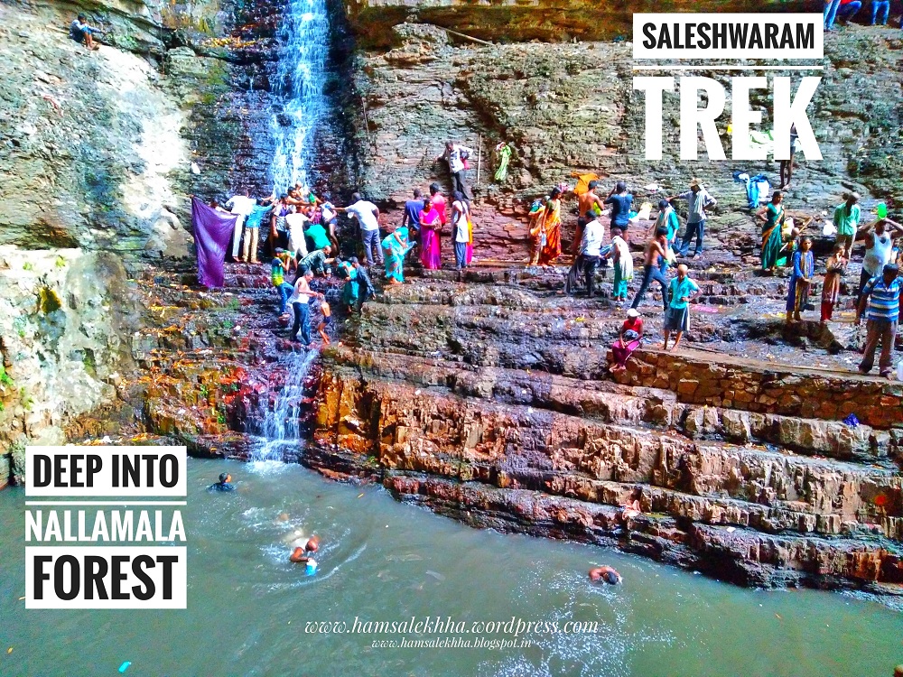 Hamsa Lekhha Travel diaries: Saleshwaram----A Trek deep into the ...