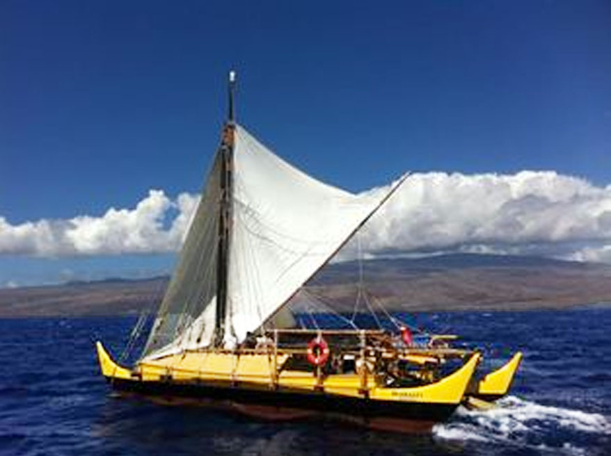 Haysmer Hawaii: Makali'i (Pleiades) Surprise