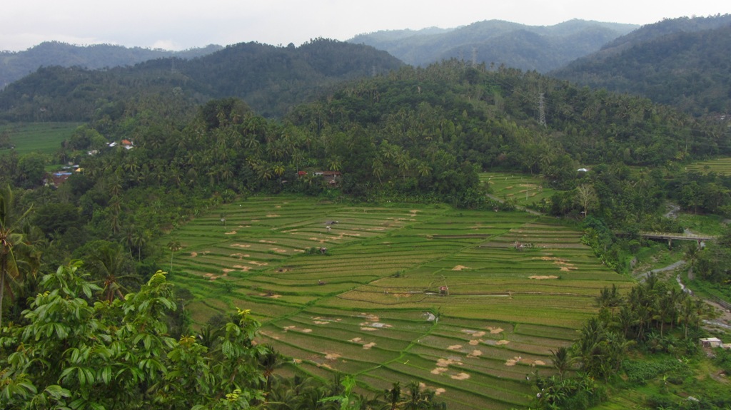 LET'S GO AROUND THE WORLD!!!: KEINDAHAN SAWAH TERASERING DI BALI
