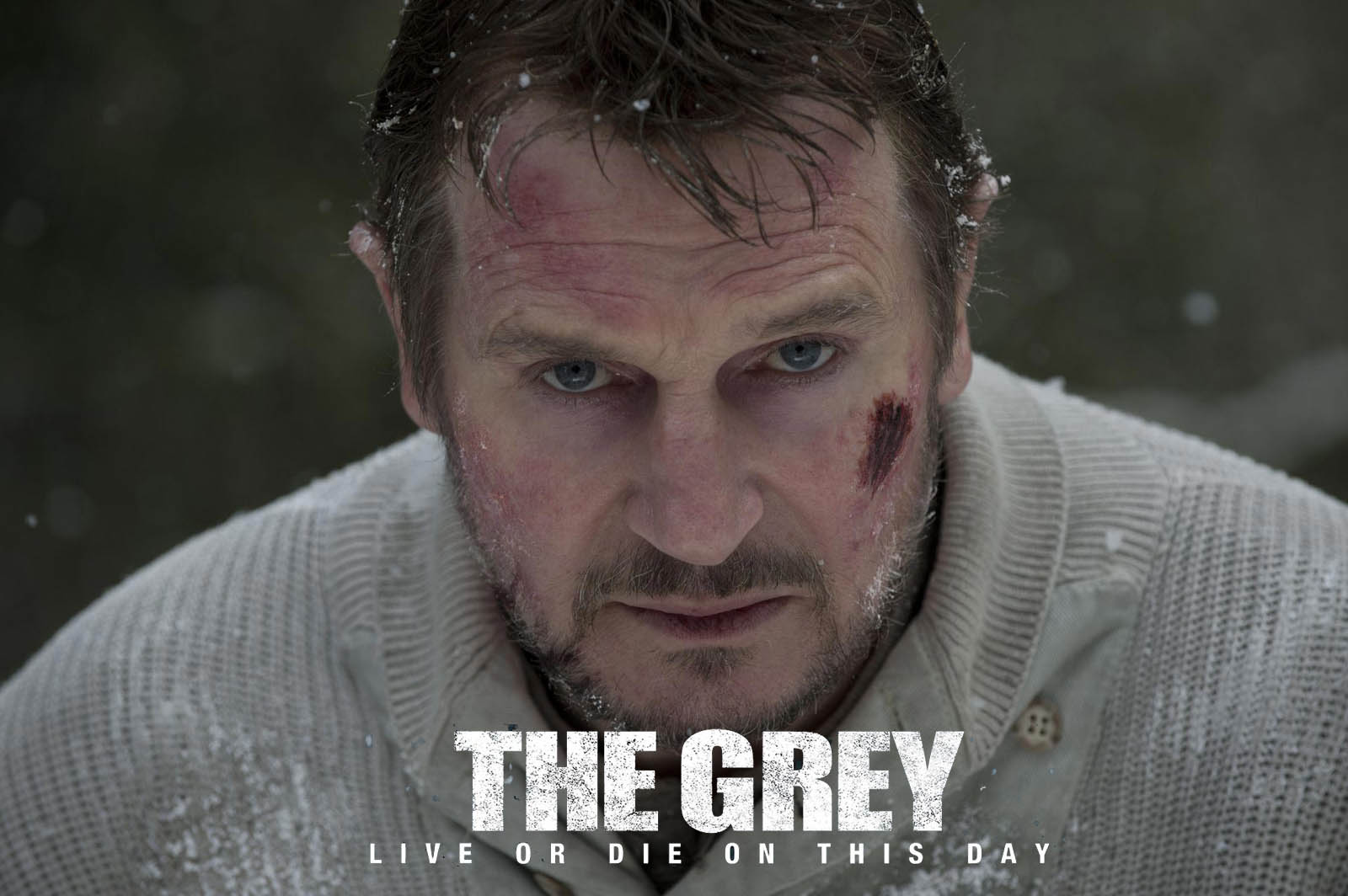 Good Movies - Bad Movies: The Grey (2011)