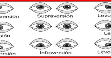 Cátedra N° 02 - Movimientos binoculares