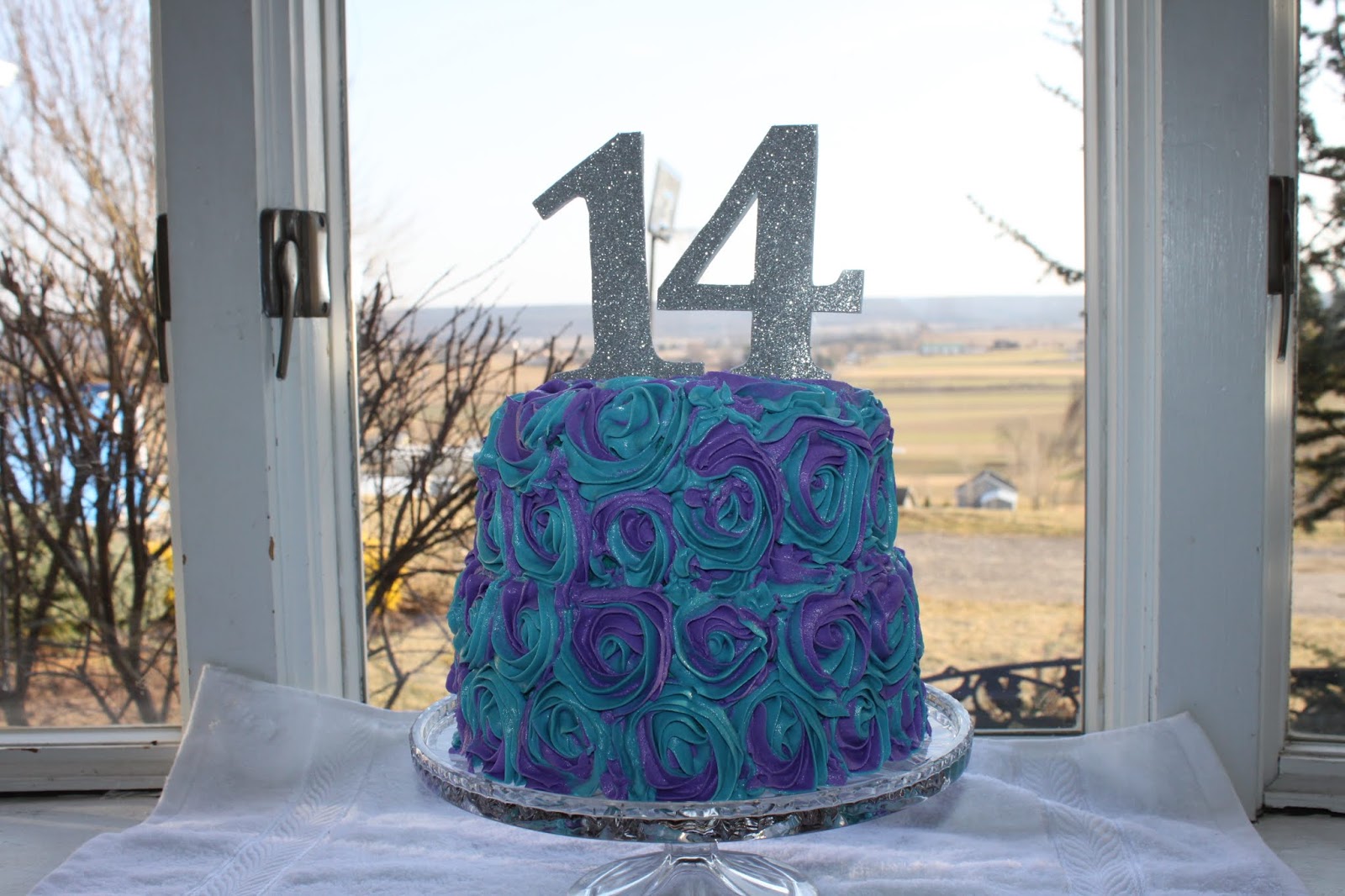 These are a few of my favorite things: Girls 14th birthday cake ideas