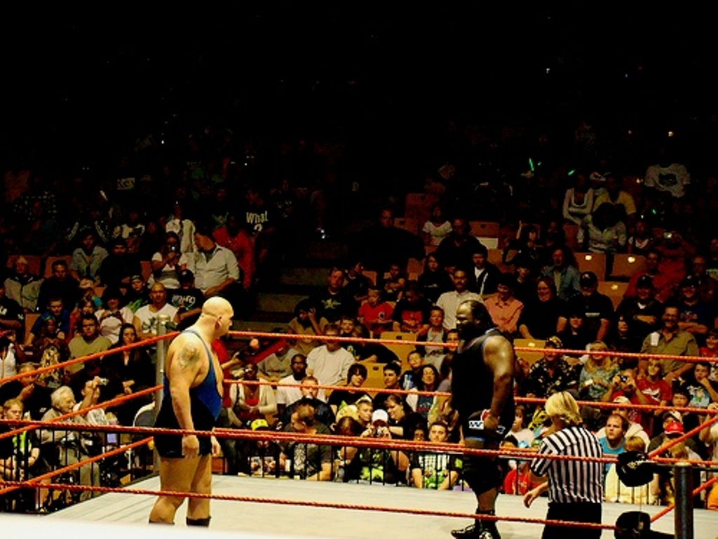 The Rock | John Cena | Under Taker | Great khali | The Miz | Kane ...