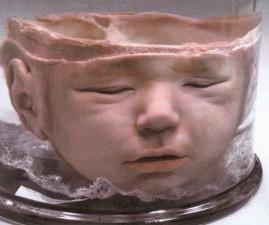 Enki'nin Gezi Notları: TUHAFLIKLAR MÜZESİ KUNSTKAMERA