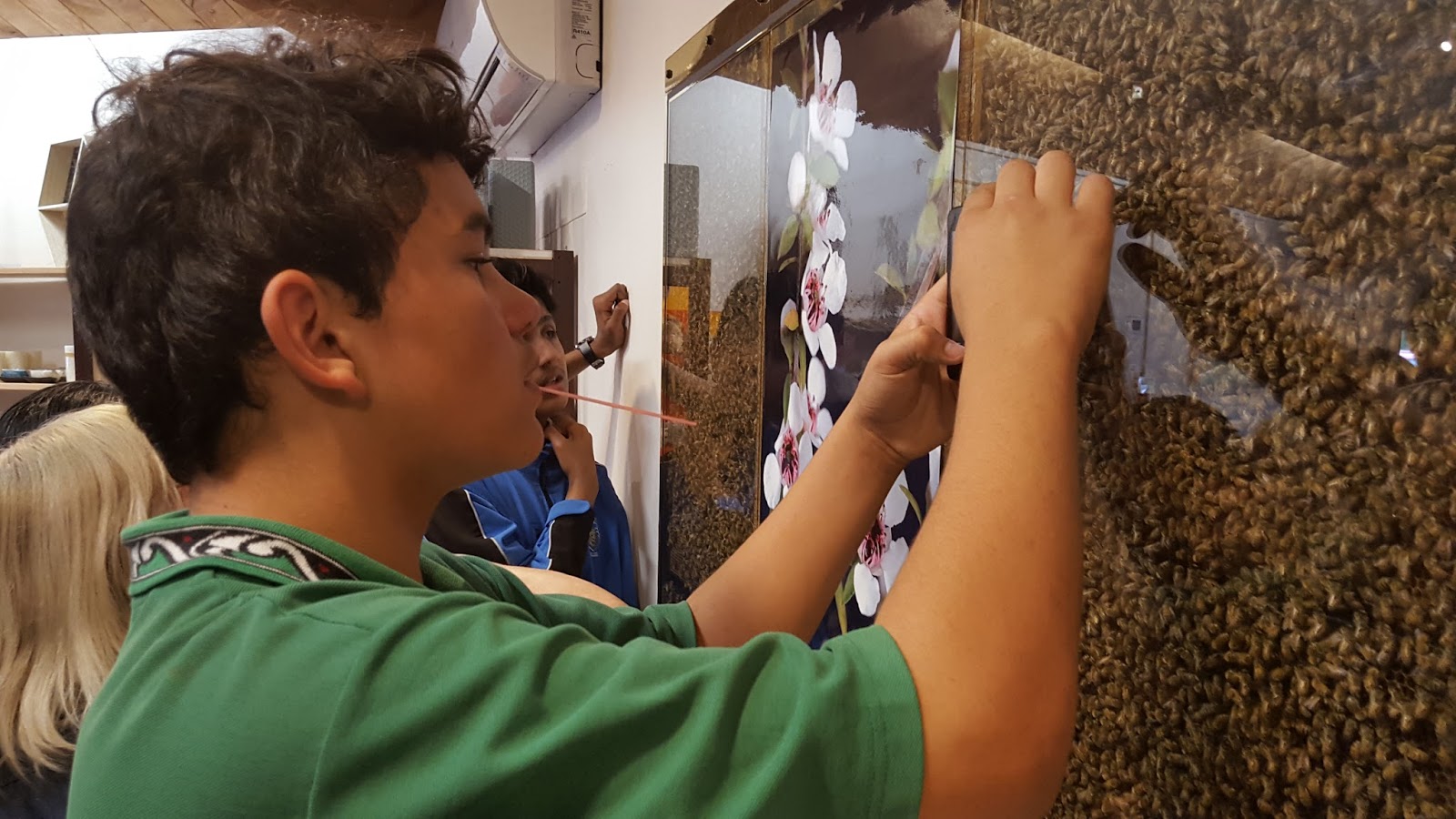 Tangaroa Bee Project