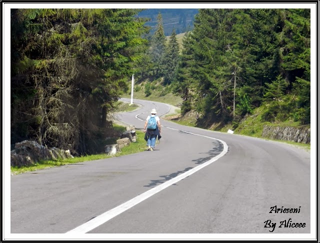Recomandari in statiunea Arieseni - cazare, masa si trasee turistice ...
