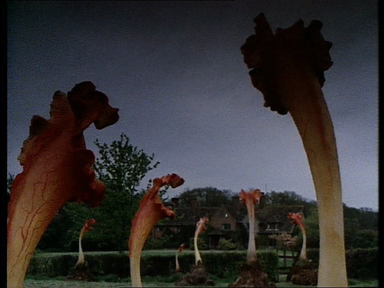 From the Archive: A British Television Blog: Triffid Take-Over! The Day ...