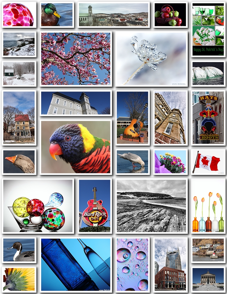 Bitstop: March Collage