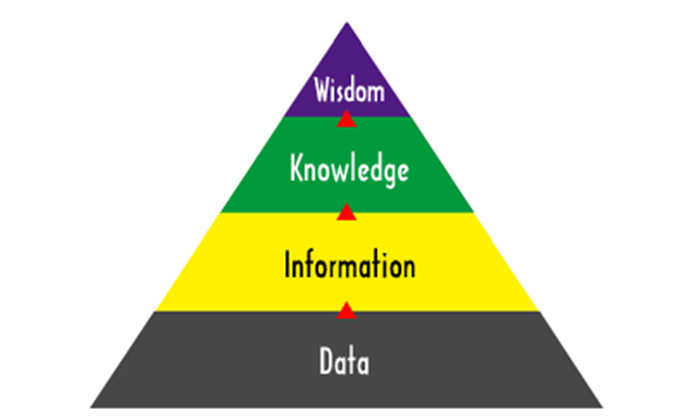 Introduction to Information Systems: CHAPTER 4: Managing Knowledge and Data