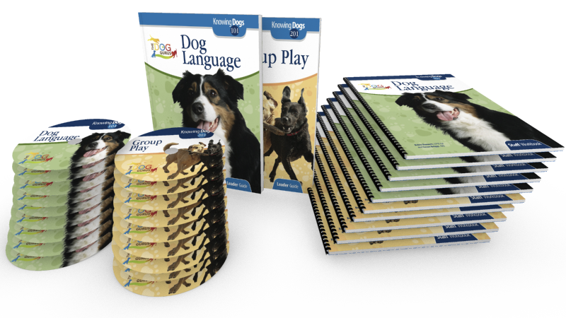 Bark City Doggy Daycare: Staff Training