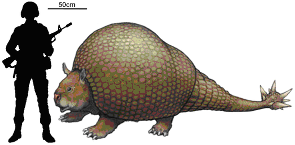 Gandarela tem uma paleotoca - toca de tatu gigante extinto há 10 mil anos