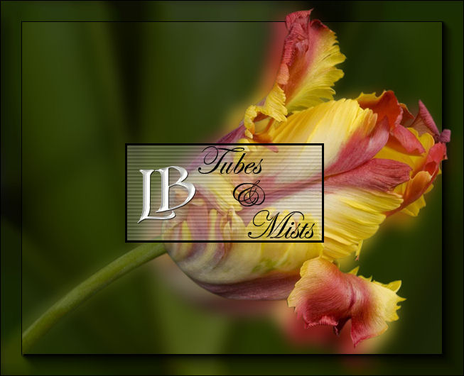 LB TUBES & MISTS: FLORES