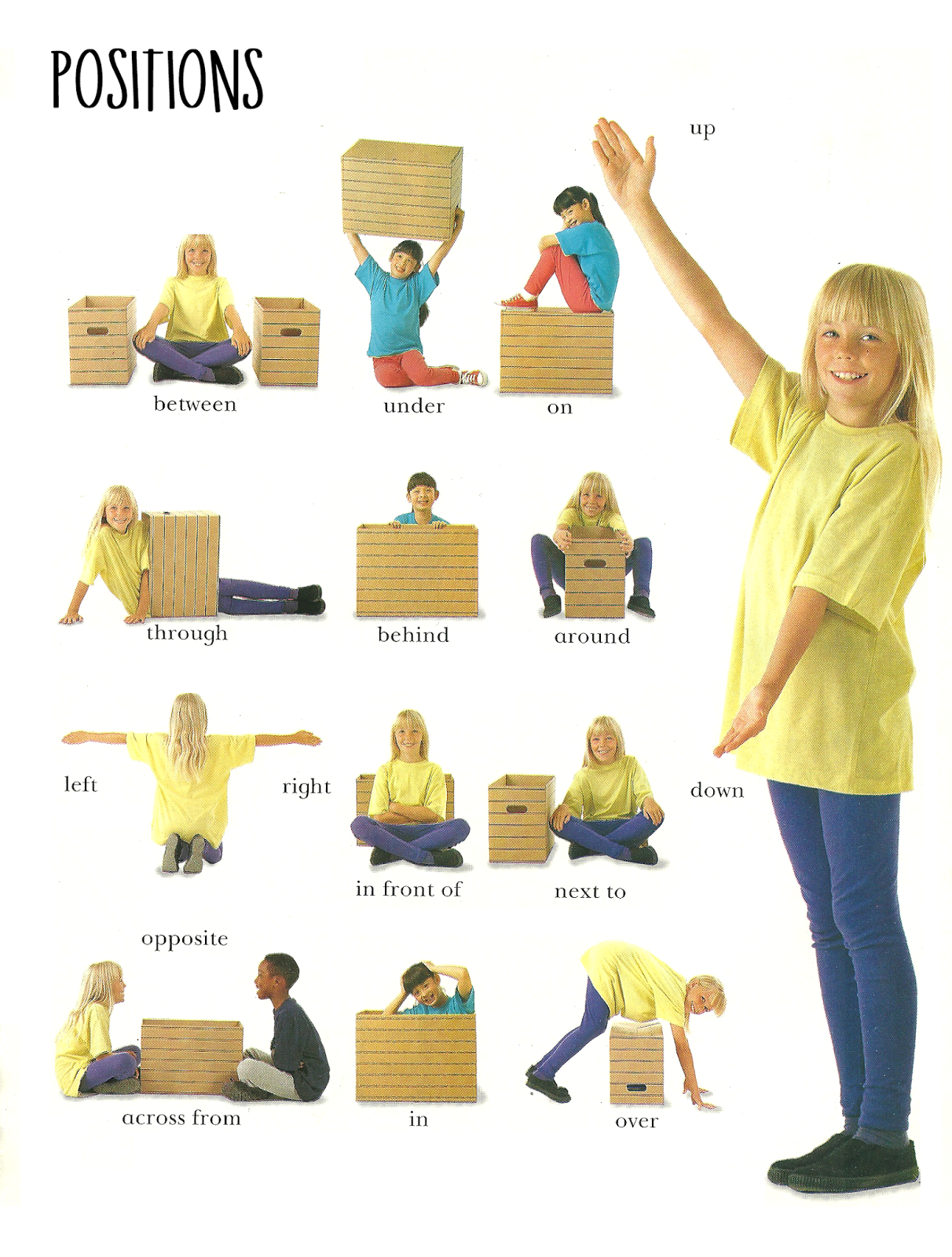 Teachermina: positions