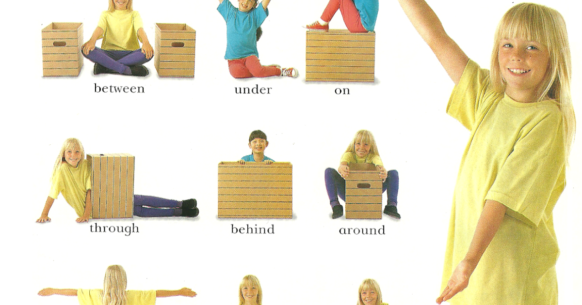 Teachermina: positions