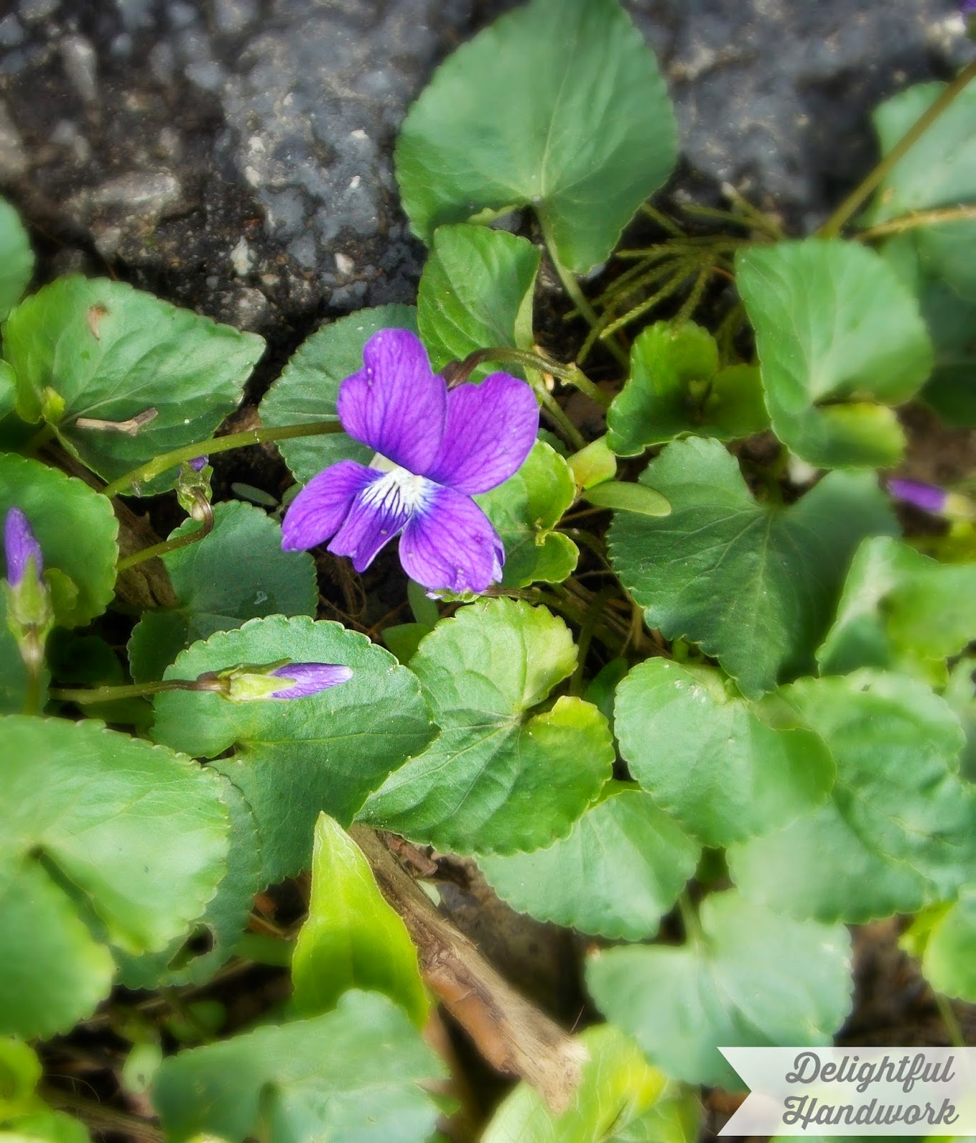 Delightful Handwork: april showers & flowers...