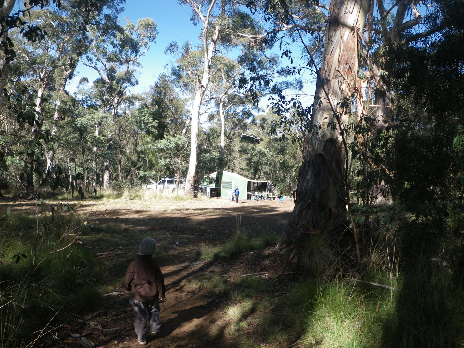 Smith's Travels: Coolah Tops NP - where it's really cool (COLD)
