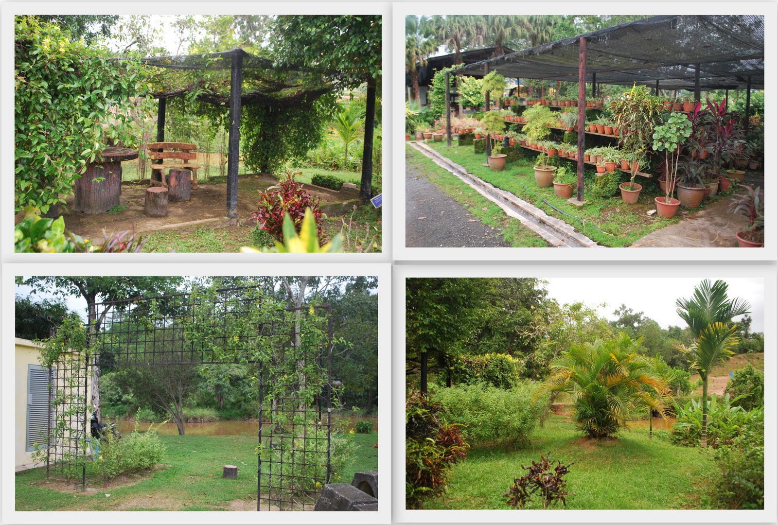 Simply Irresistible: UiTM Jengka, Pahang