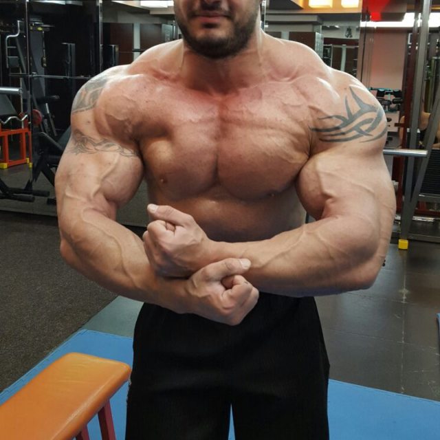 Muscle Lover: Albanian bodybuilder Kreshnik Topore (2)