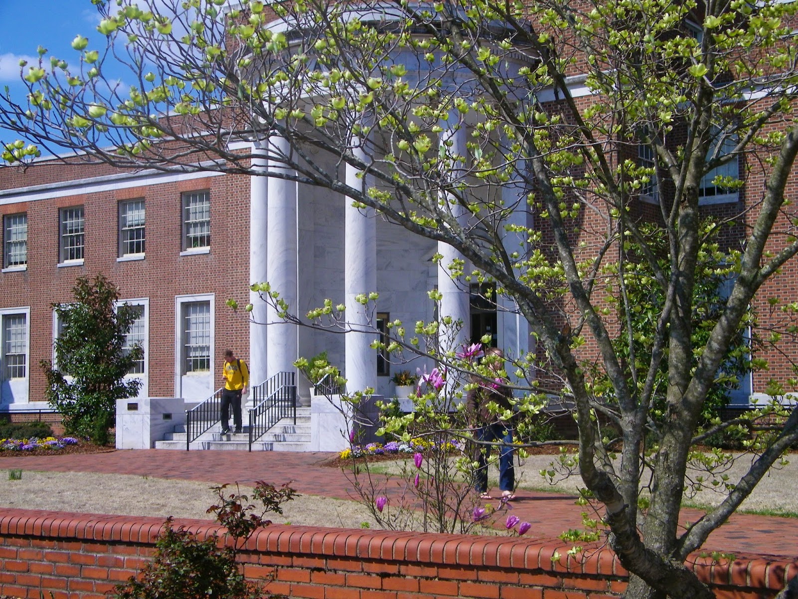 Spring Bloom in Front of Jackson Library