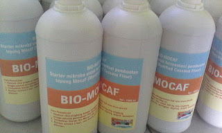 Jual Aneka Macam Mikrobakter / Bakteri Untuk Keperluan Penelitian Dan ...