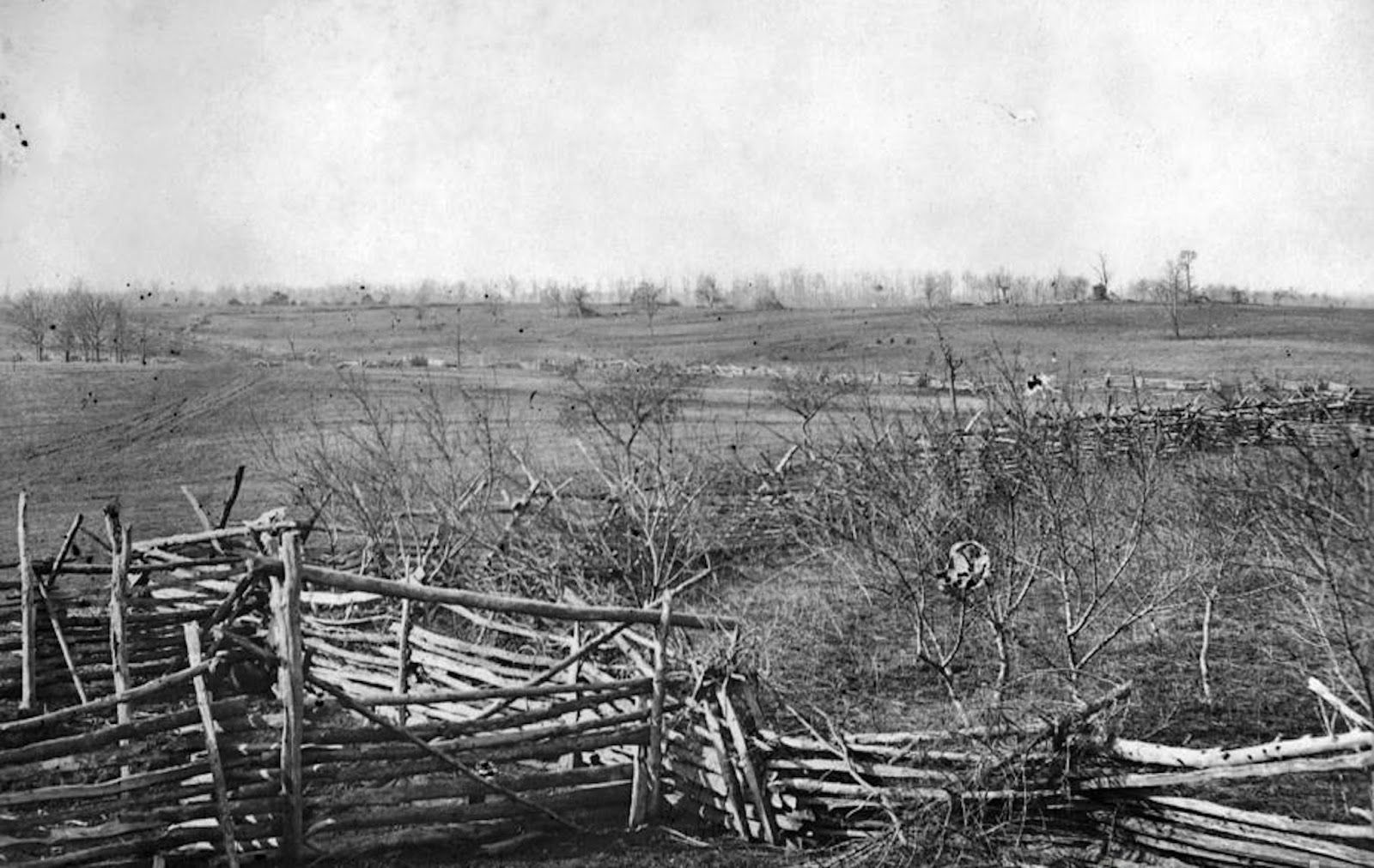 Mary Boykin Chesnut: 22 July 1861, First Bull Run