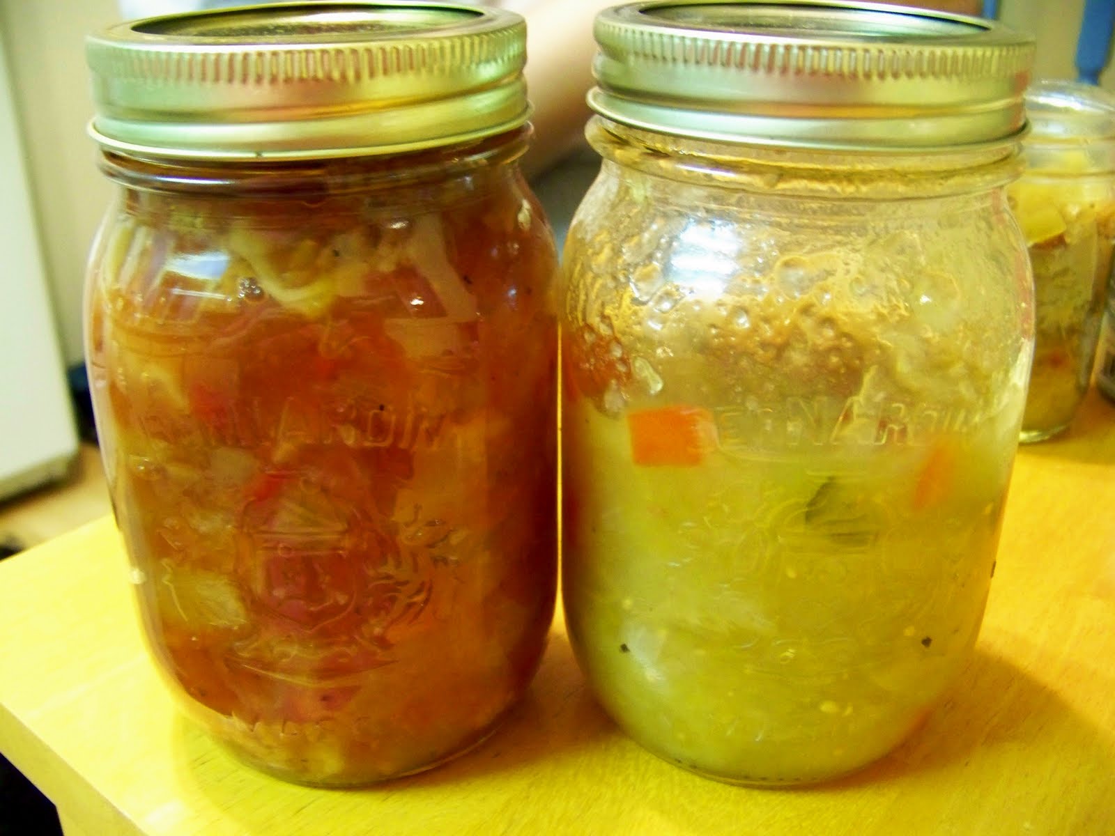 Ketchup aux fruits maison (rouge et vert)