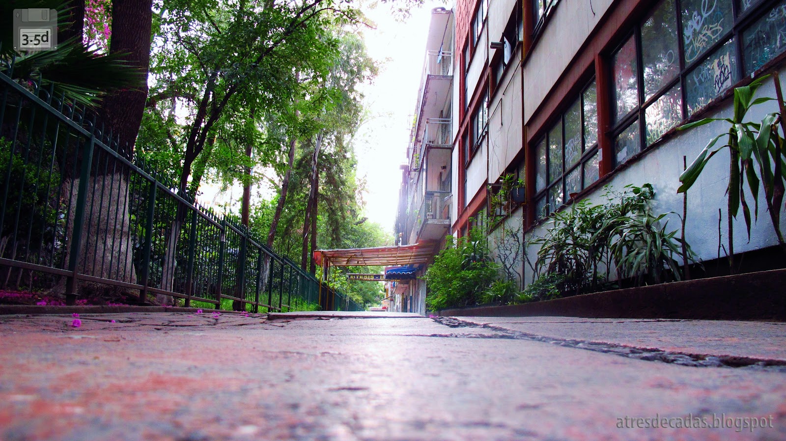 DON'T PANIC: Copilco