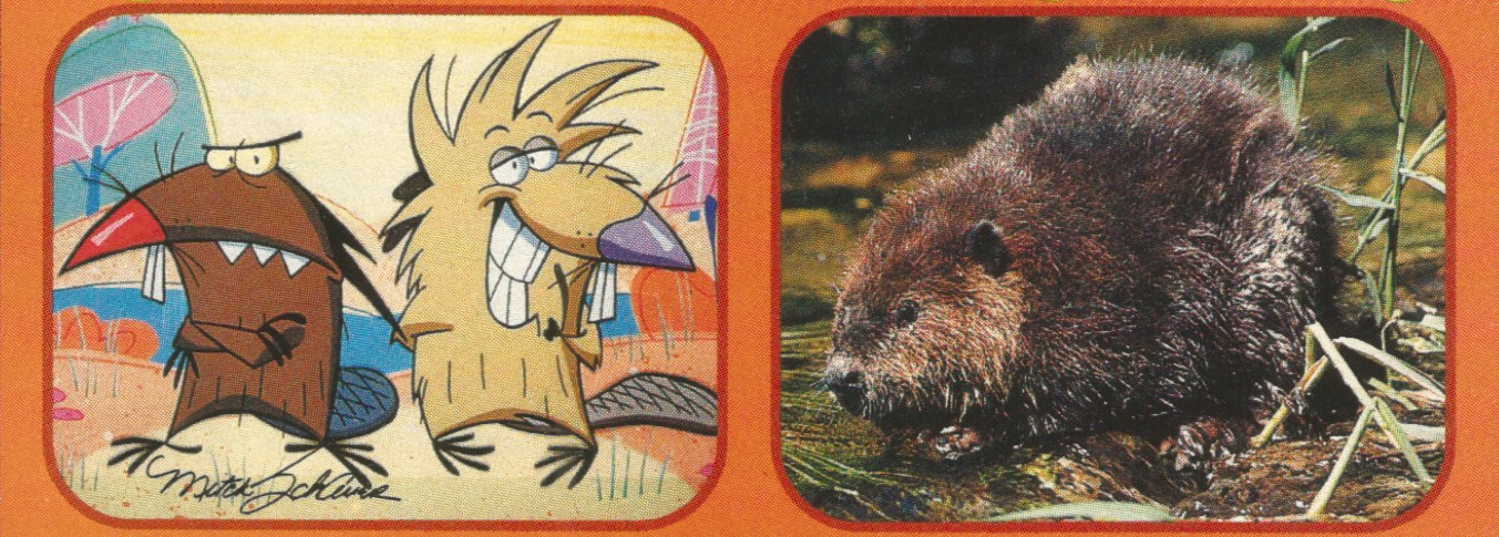 Nickelodeon Ooze News Archive