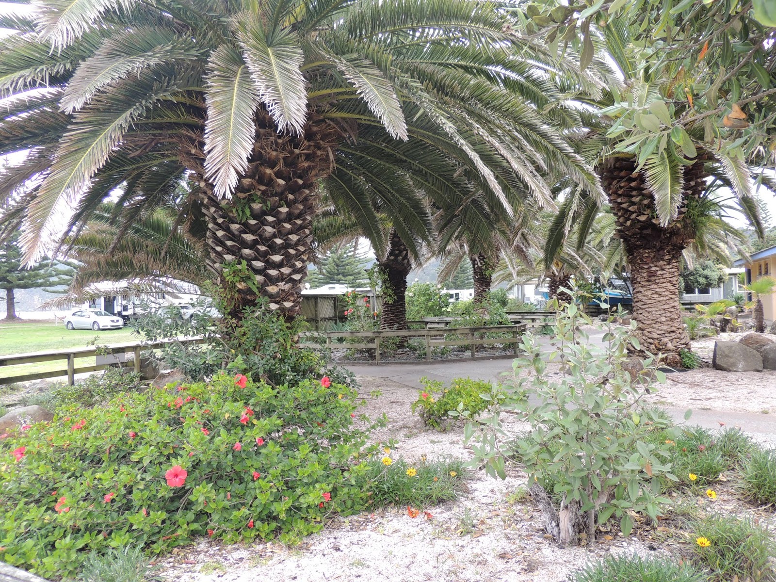 THE ROAD TAKEN : Matauri Bay Holiday Park